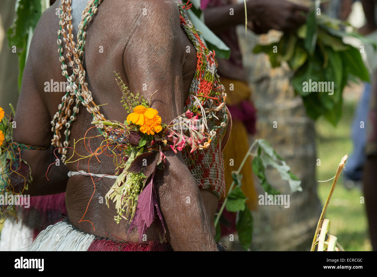 Melanesia, Papua New Guinea, Sepik River area, Murik Lakes, Karau ...