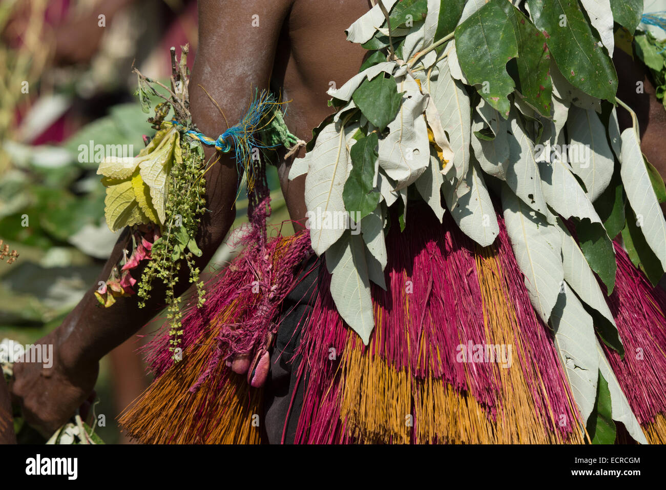 Melanesia, Papua New Guinea, Sepik River area, Murik Lakes, Karau ...