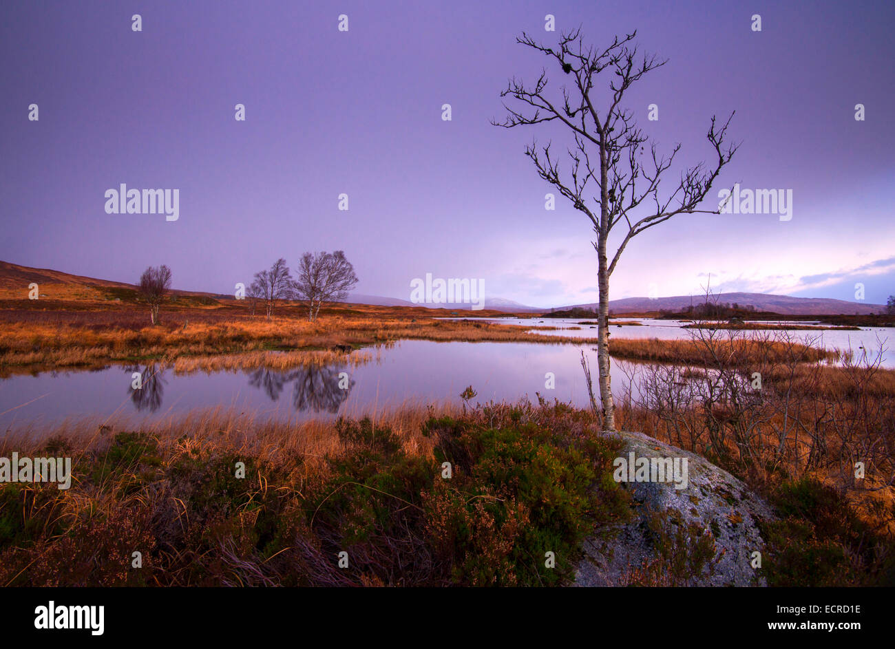 Loch ba rannoch moor highland hi-res stock photography and images - Alamy