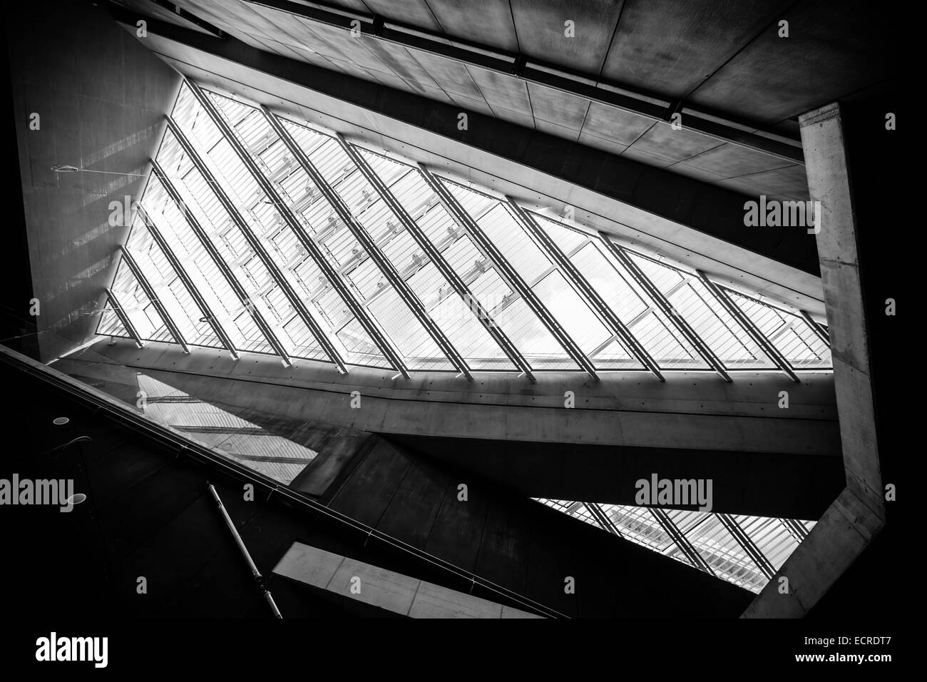 glass office buildings in wide angle view.Modern conceptual high tech ...