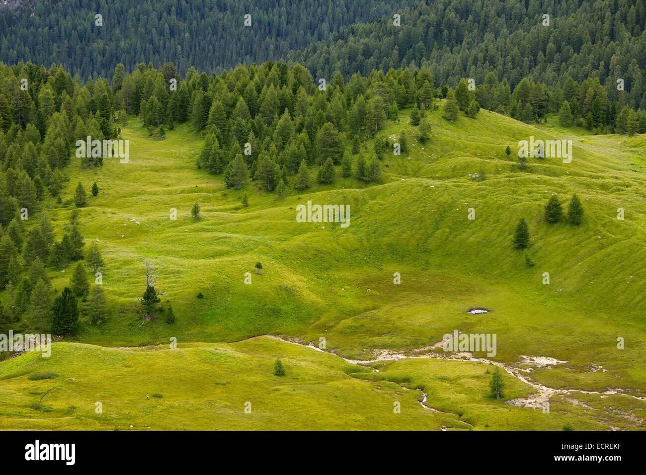 Alpine field hi-res stock photography and images - Alamy
