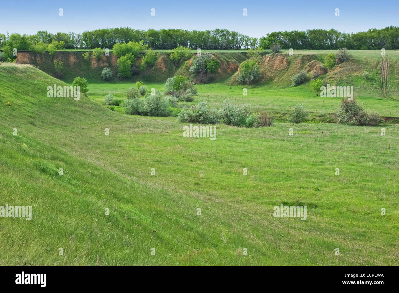 summer landscape ravine and forest Stock Photo - Alamy