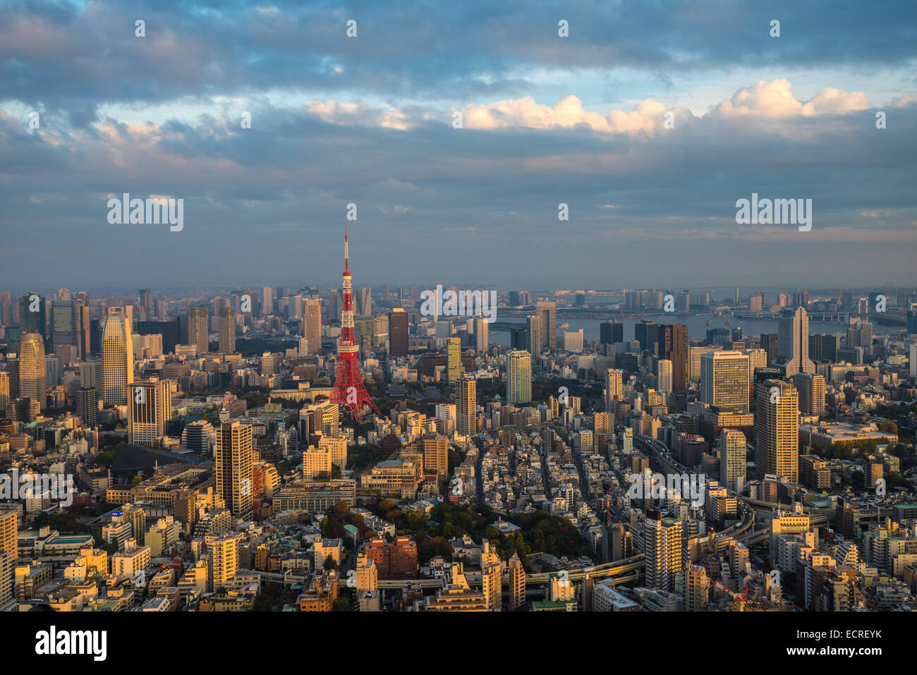 Tokyo futuristic skyline hi-res stock photography and images - Alamy