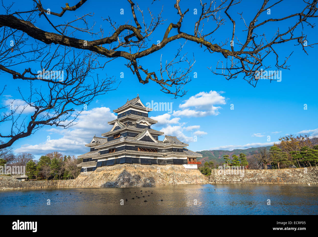 Matsumoto castle, national treasure of Japan Stock Photo - Alamy