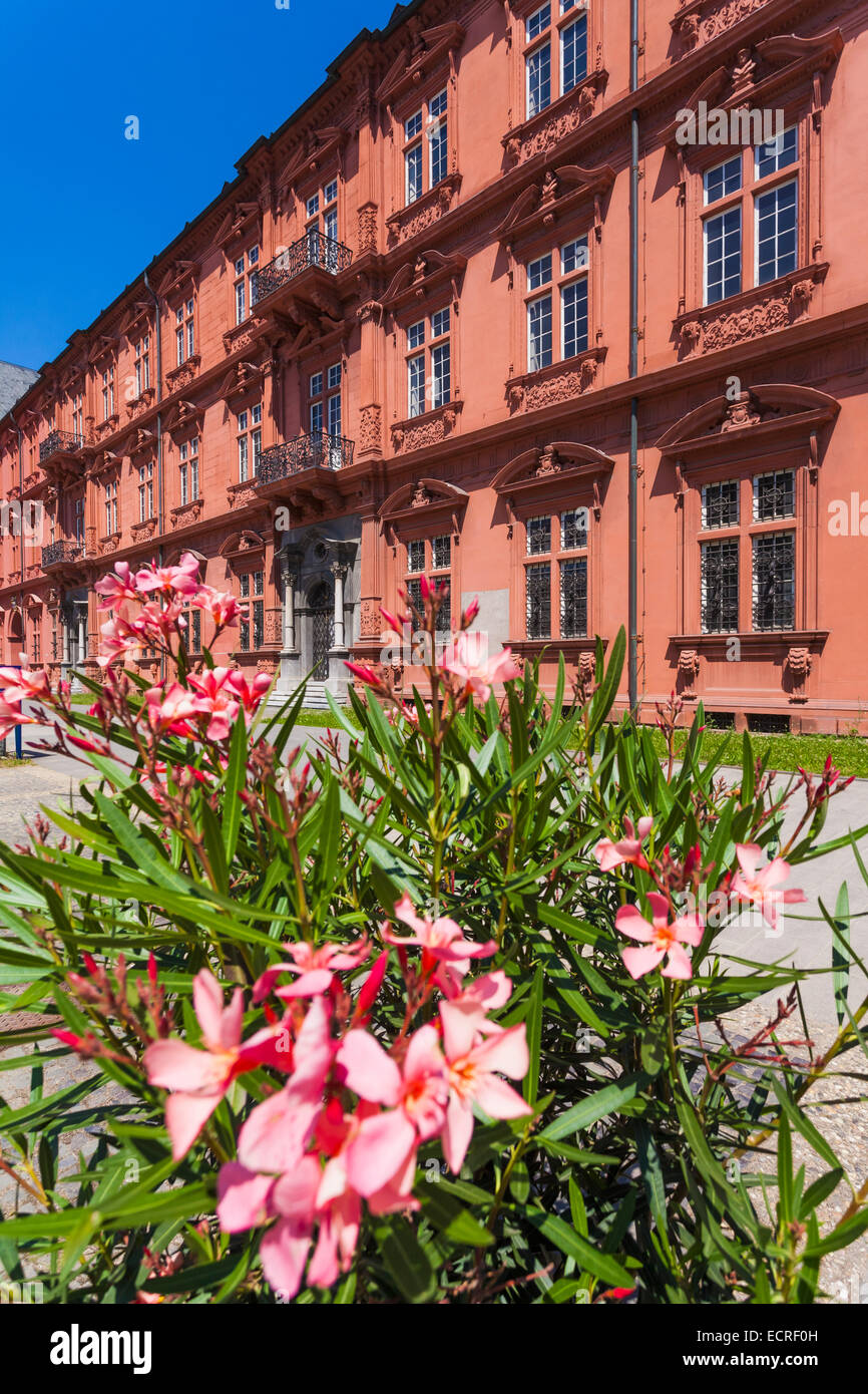 Germanic europe hi-res stock photography and images - Alamy