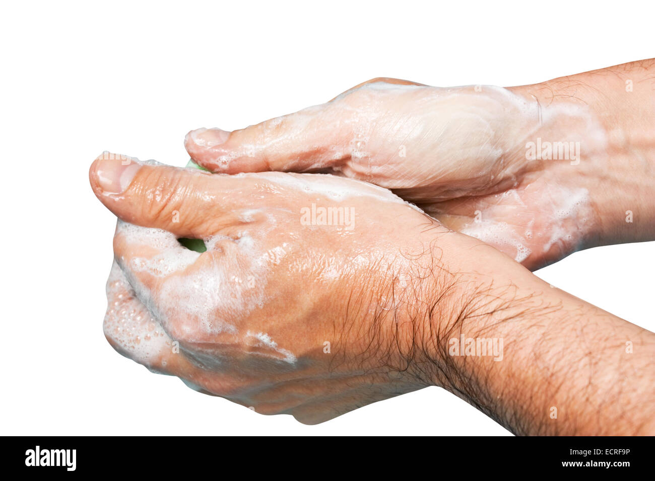 sudsy hands isolated on a white background Stock Photo - Alamy