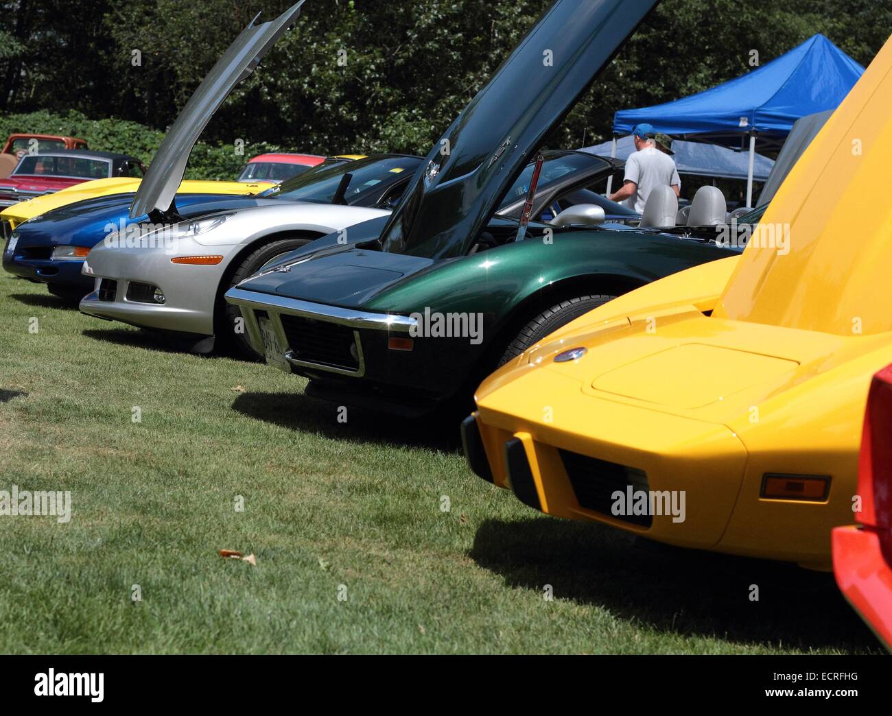 Classic Car at a Classic Car Show Stock Photo - Alamy