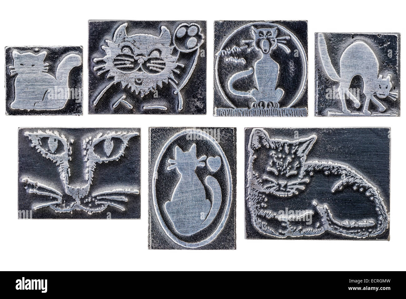 cat dingbats in isolated vintage letterpress metal printing blocks ...