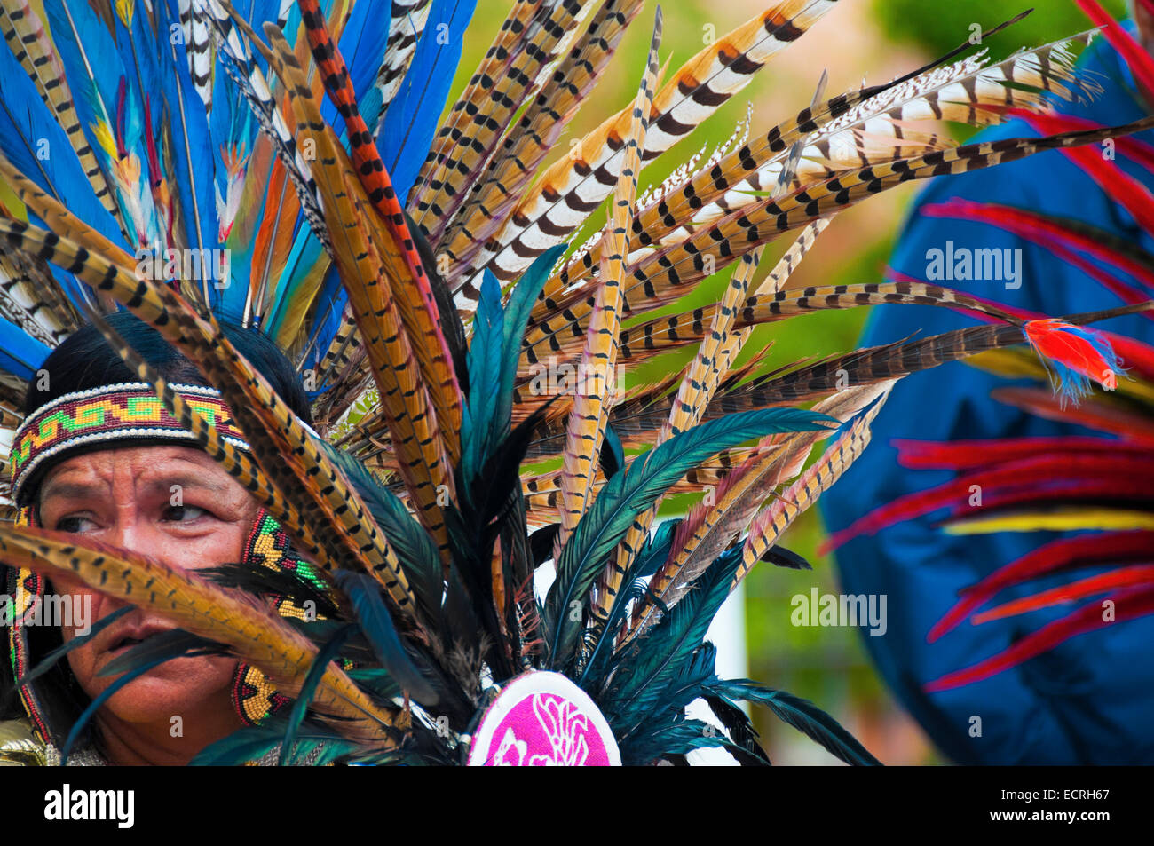 Native American Indian dress costume feathers Stock Photo - Alamy