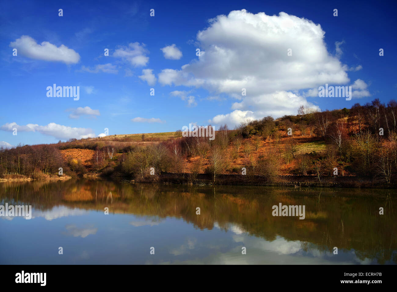 UK,South Yorkshire,Rotherham,Ulley Reservoir and reflections Stock ...