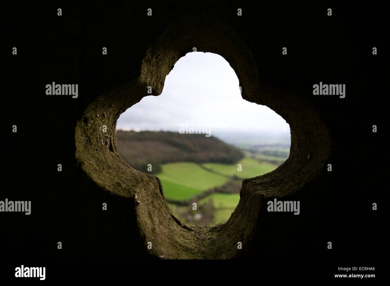 Tyndale monument hi-res stock photography and images - Alamy