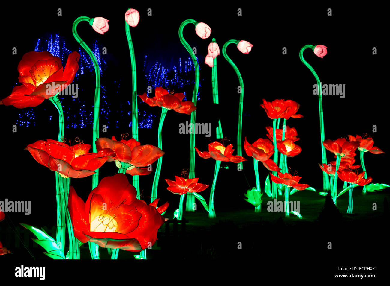 Longleat festival of light hi-res stock photography and images - Alamy