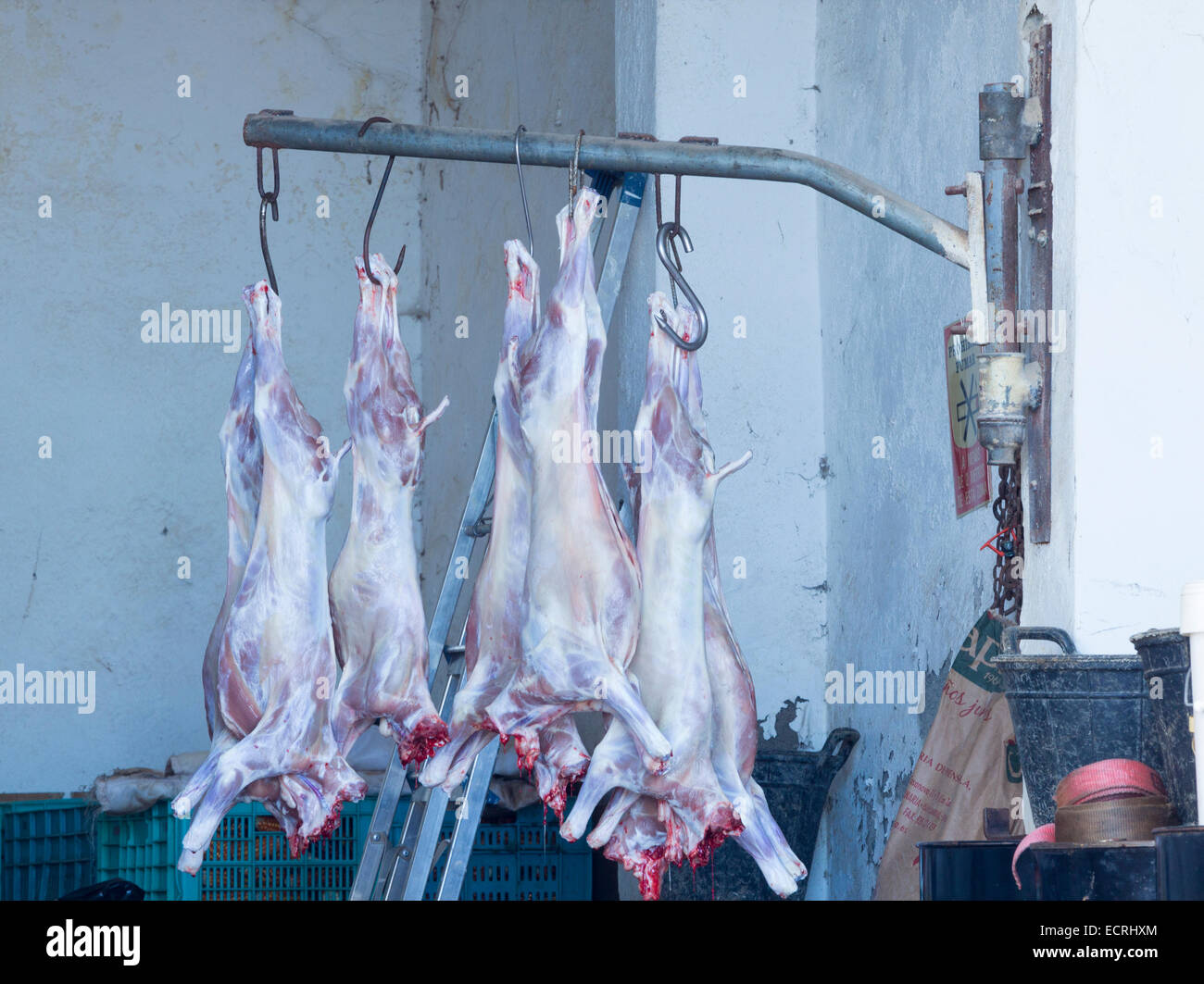 Slaughtered lamb hi-res stock photography and images - Alamy