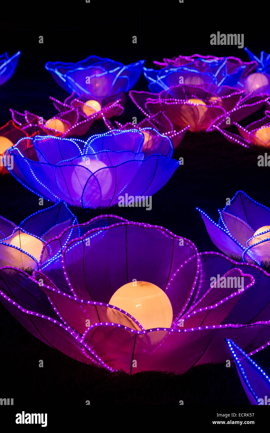 Longleat Festival of Light, Chinese Lion Lanterns Display at Longleat ...
