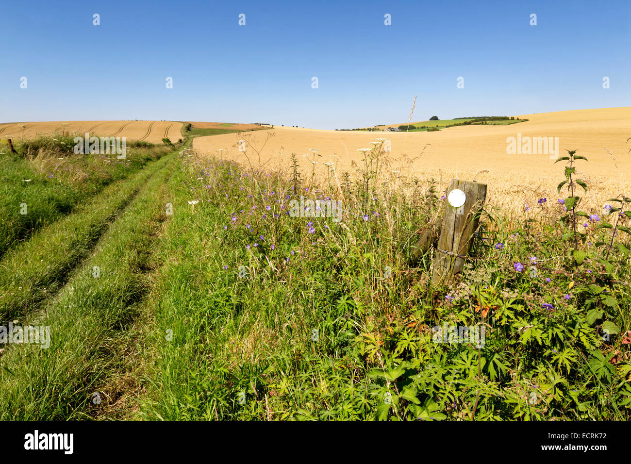 The ridgeway path hi-res stock photography and images - Alamy