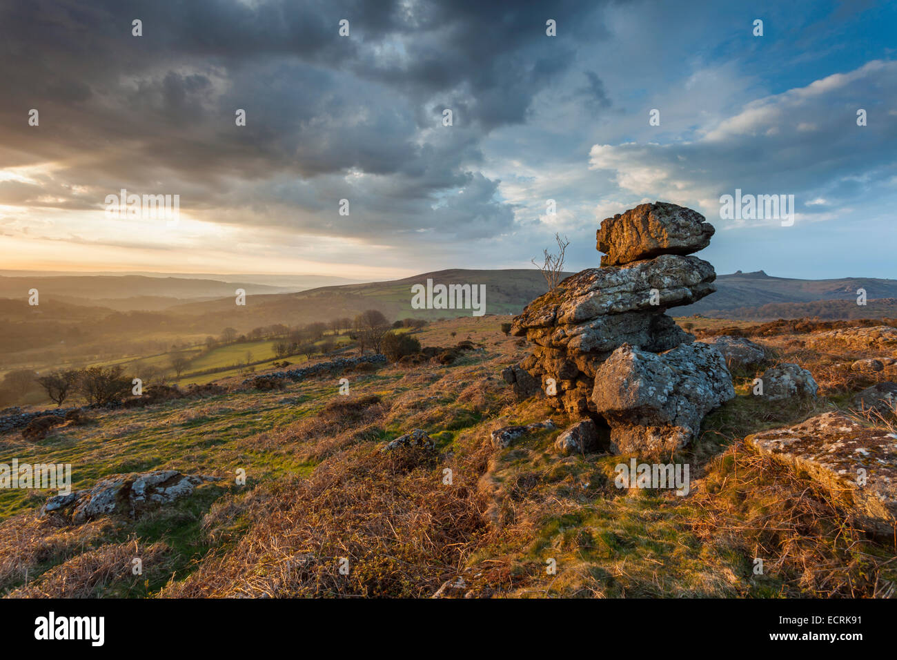 Morning on Hayne Down. Dartmoor National Park, Devon, England, United ...