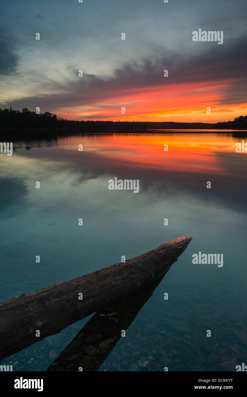 Fallen orange tree hi-res stock photography and images - Alamy