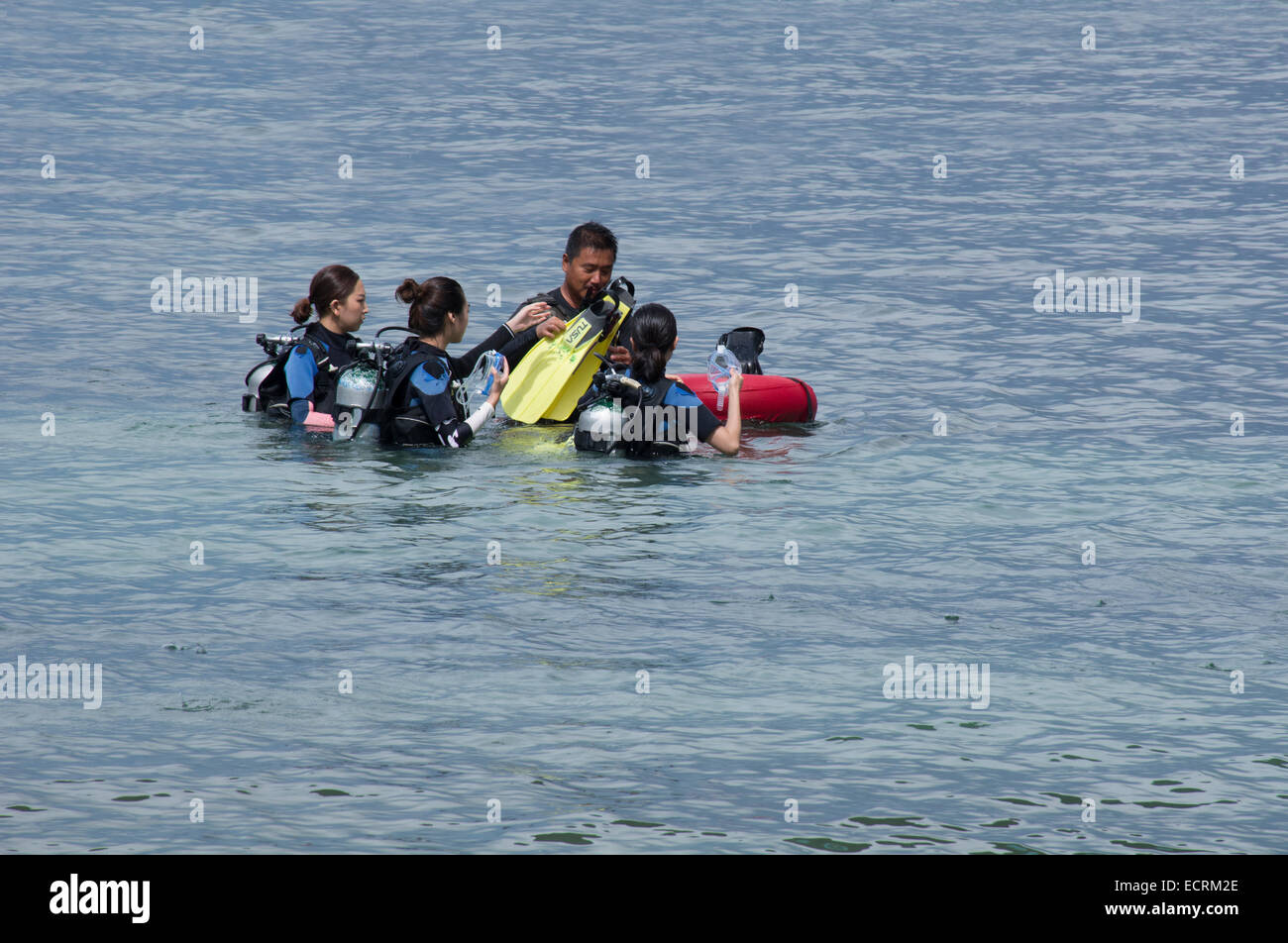 Micronesia, Mariana Islands, US Territory of Guam. Fish Eye Marine Park ...