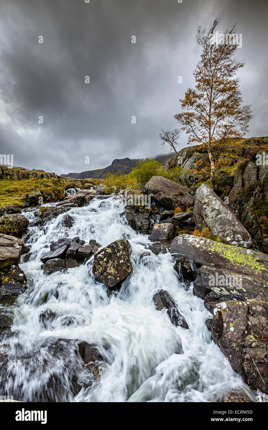 Swollen Stream High Resolution Stock Photography and Images - Alamy