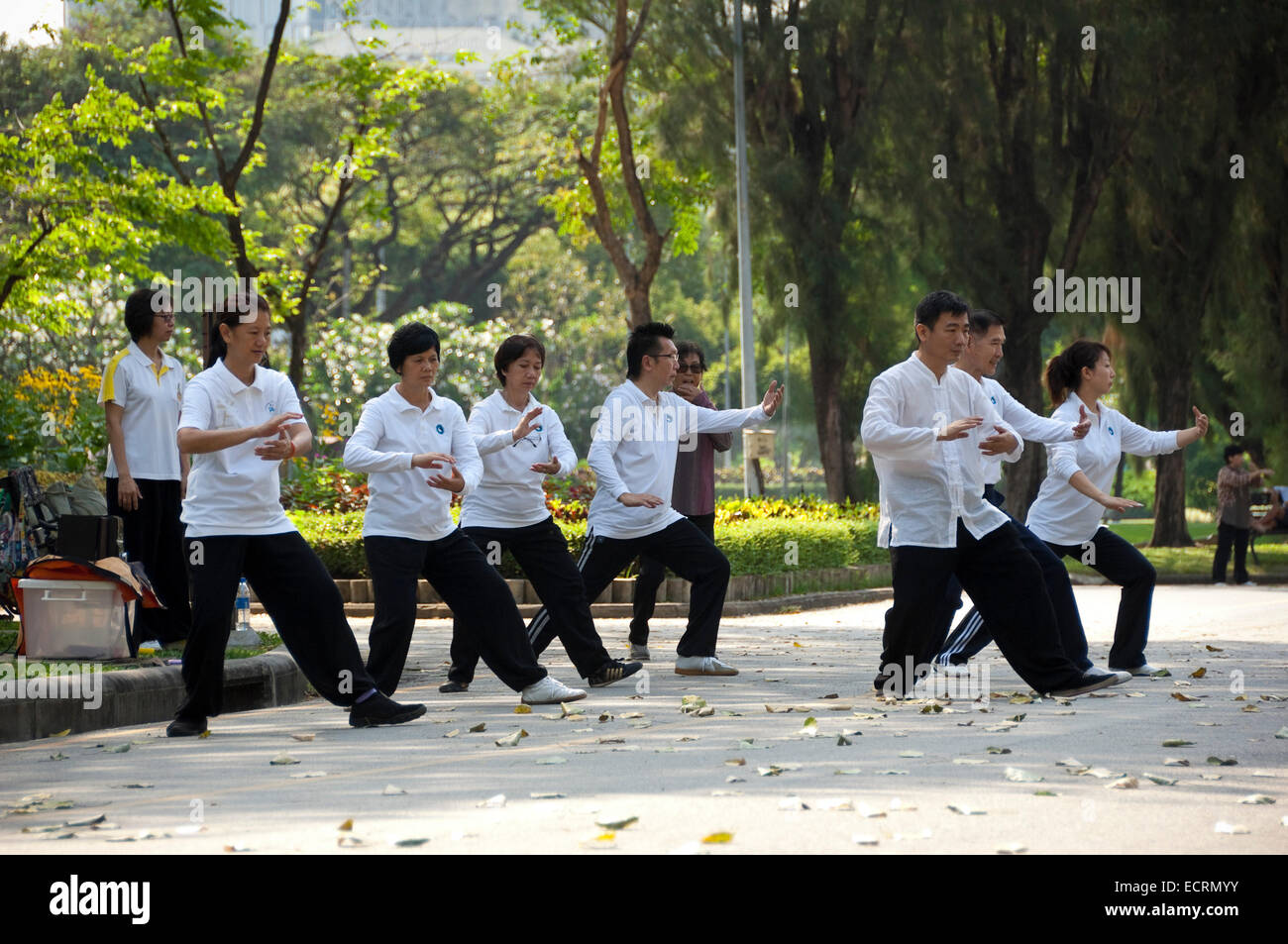 Horizontal view of people practising Tai Chi in Lumphini Park in ...