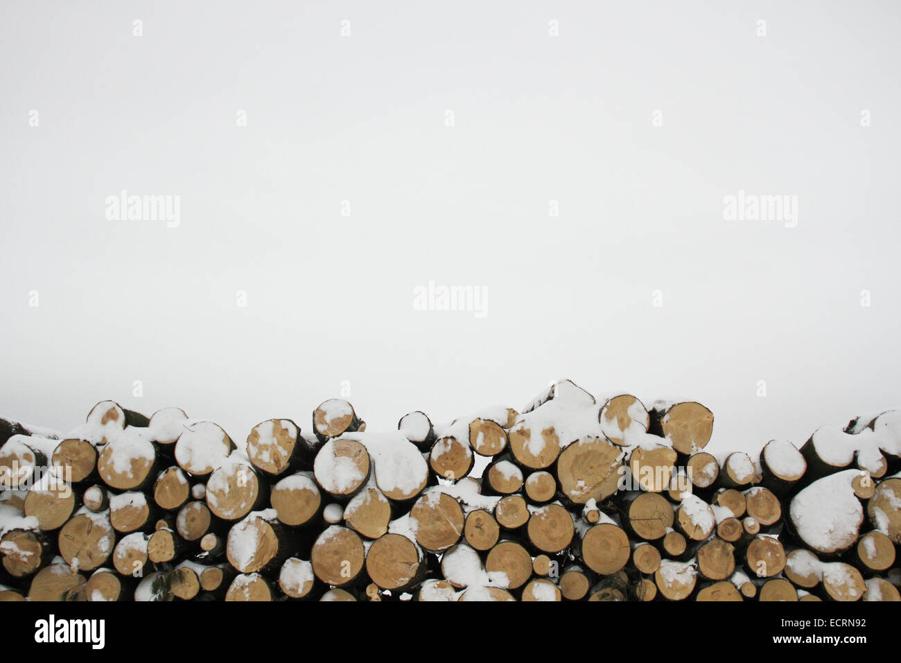 Stacked snow covered logs in Northern, Quebec Stock Photo - Alamy