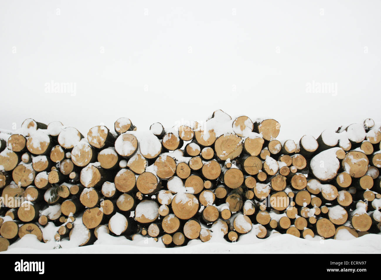 Stacked snow covered logs in Northern, Quebec Stock Photo - Alamy