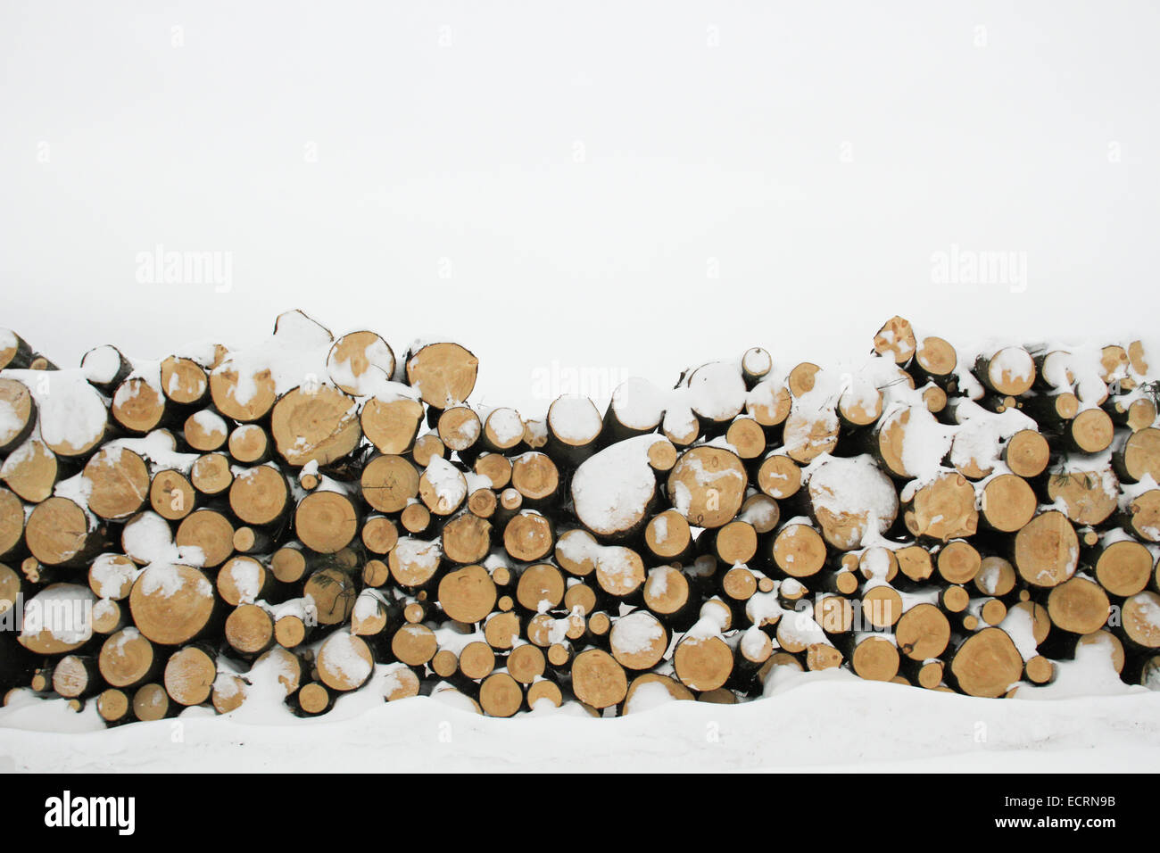 Stacked snow covered logs in Northern, Quebec Stock Photo - Alamy