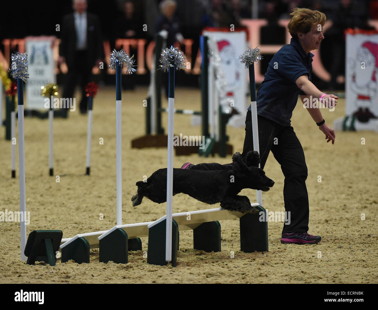 Kennel club olympia hi-res stock photography and images - Alamy