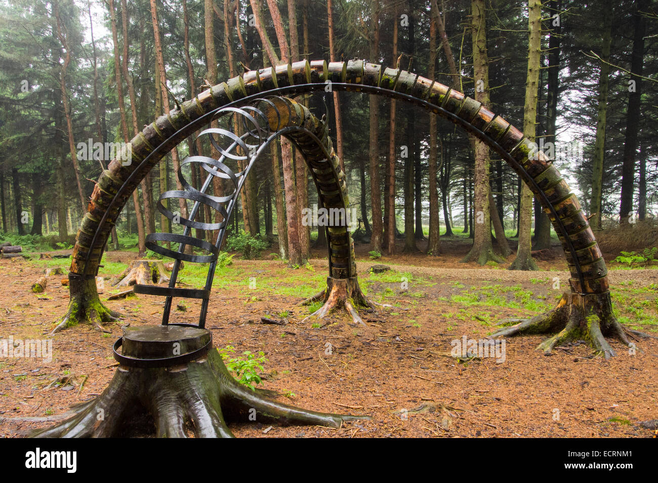 The Pendle Sculpture trail in Aitken Wood, on Pendle, near Clitheroe ...