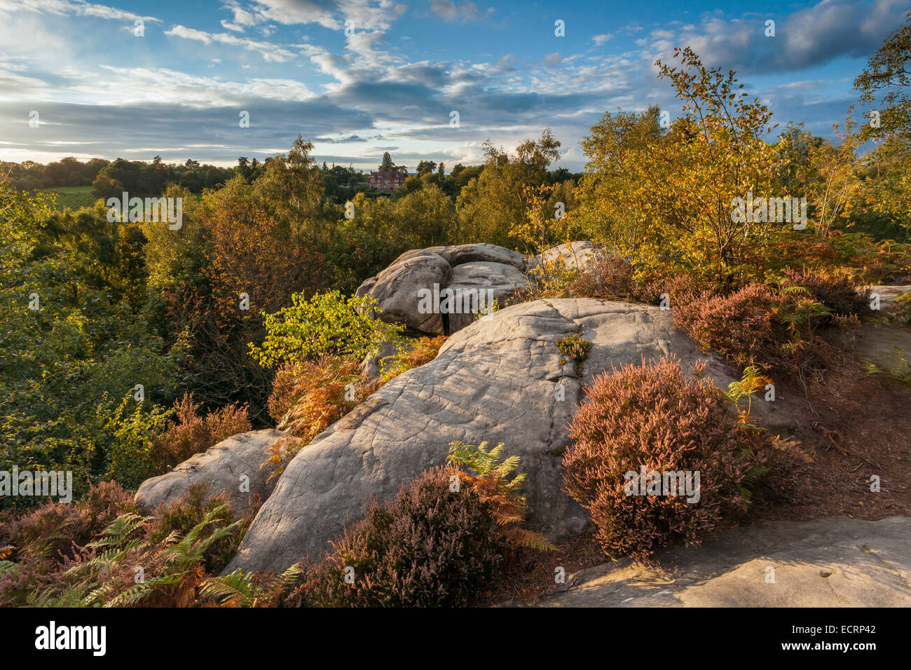 Harrison's rocks east sussex hi-res stock photography and images - Alamy