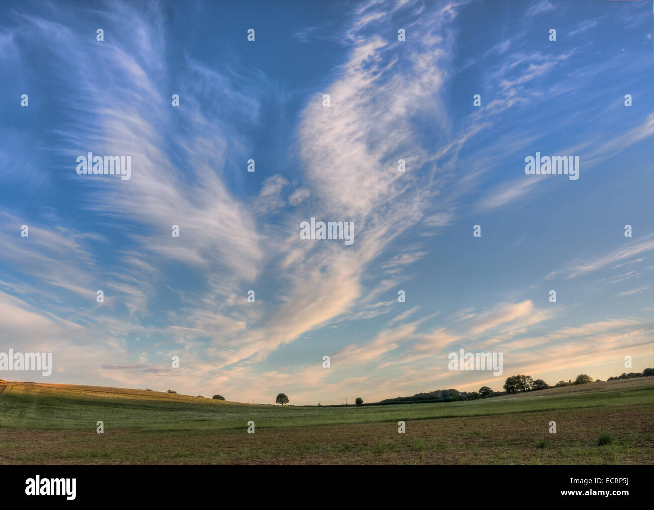 Field and sky Stock Photo - Alamy