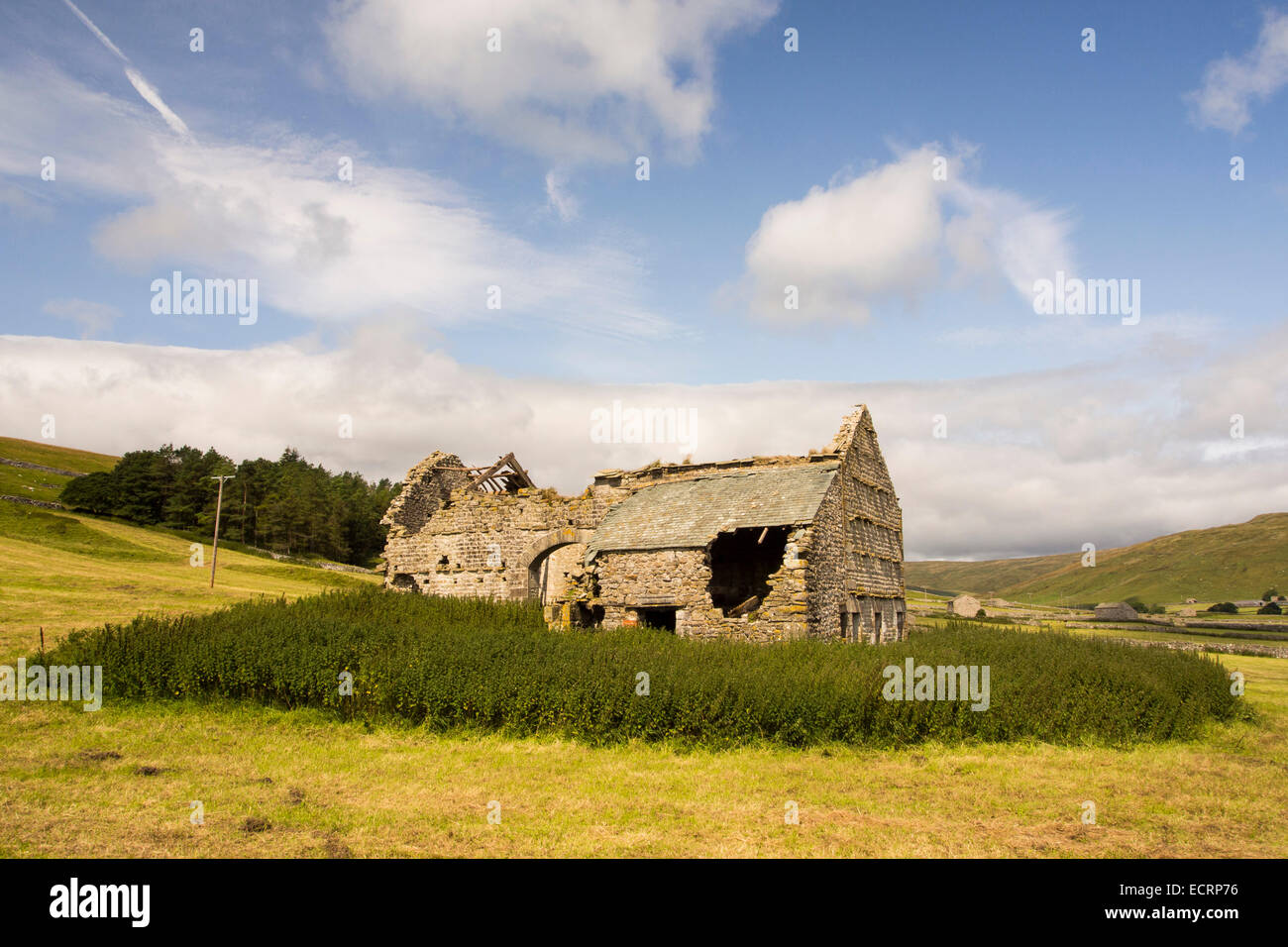 Littondale in the Yorkshire Dales with a derelict barn, UK Stock Photo ...