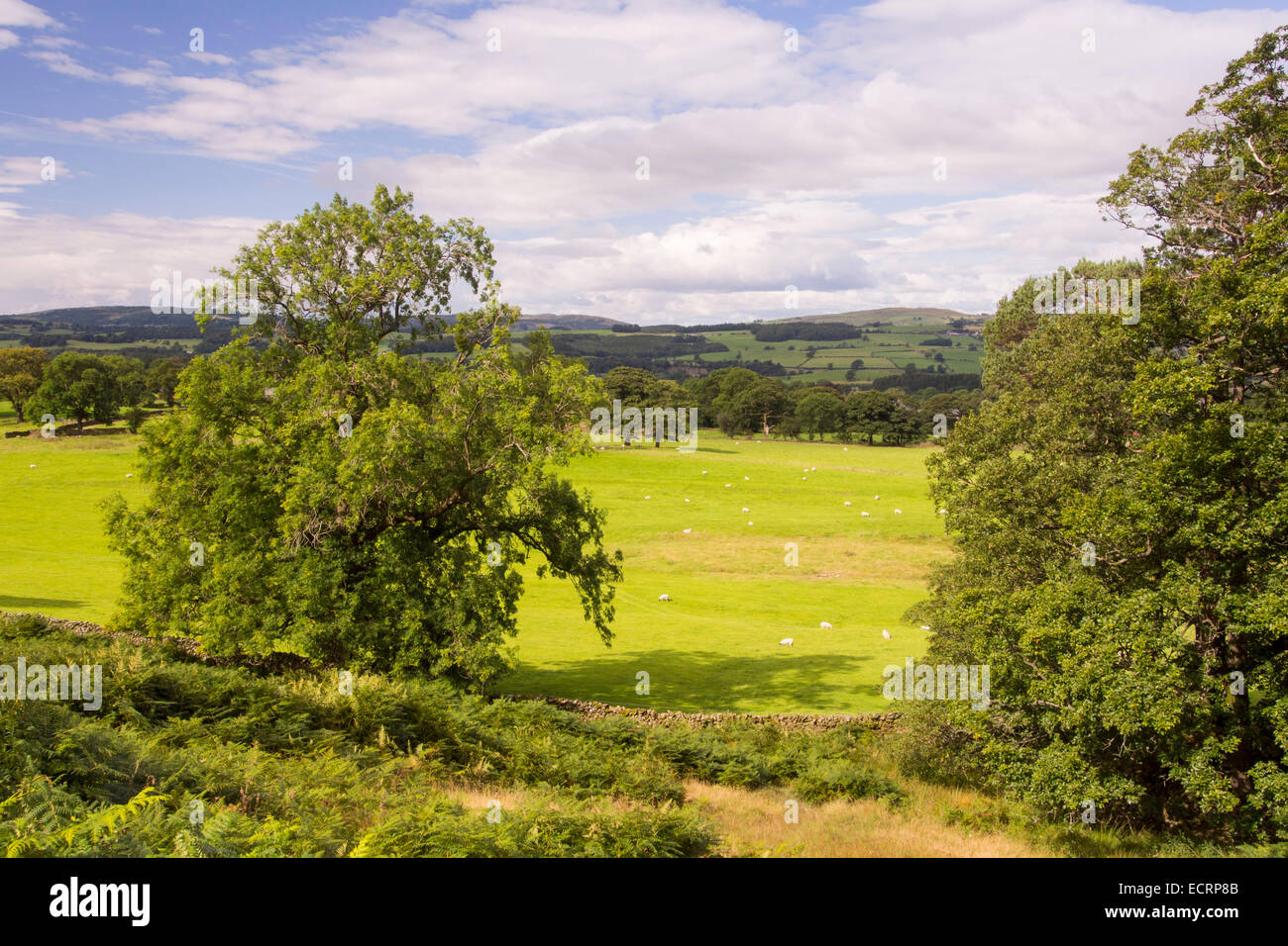 Lune valley hi-res stock photography and images - Alamy