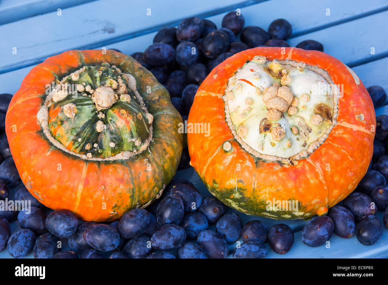 Head gourd hi-res stock photography and images - Alamy