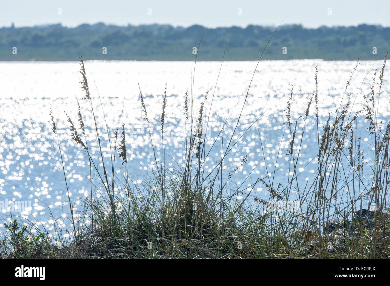 Low sun reflectin from water at Ponce Inlet, Volusia County Florida USA ...