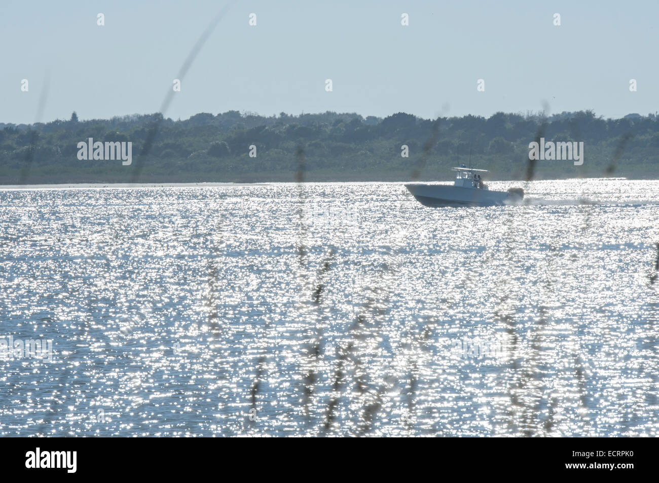 Boat speeding along Ponce Inlet, Volusia County Florida USA Stock Photo ...