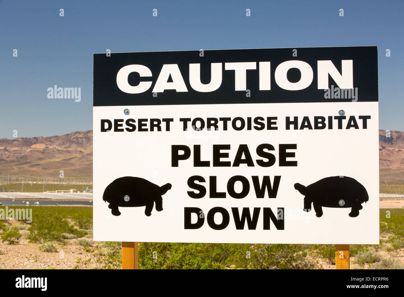 Tortoise sign mojave hi-res stock photography and images - Alamy
