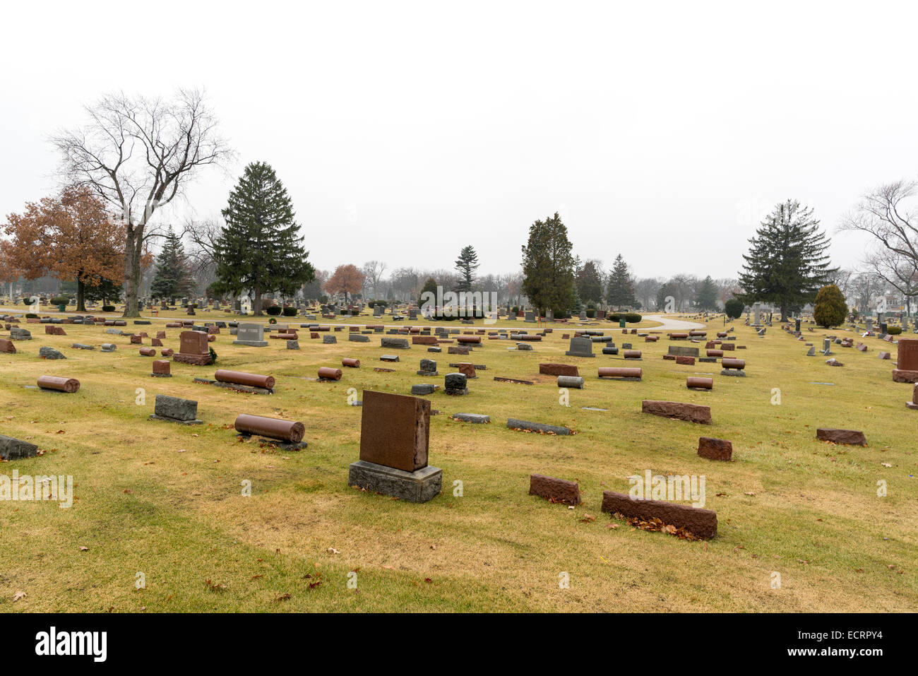 Montrose Cemetery in Chicago, Illinois Stock Photo - Alamy