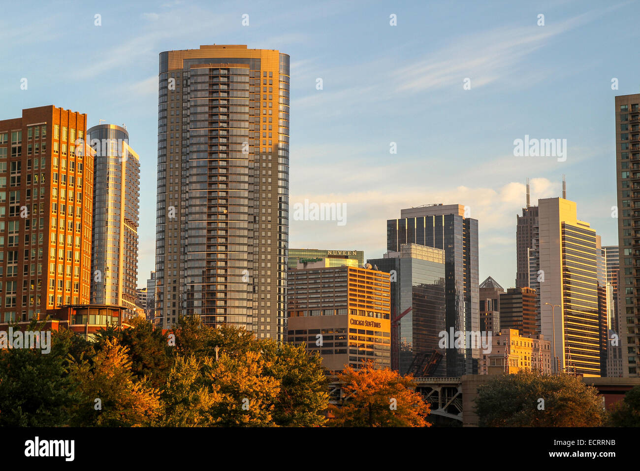 An autumn view of downtown architecture seen from a Chicago ...