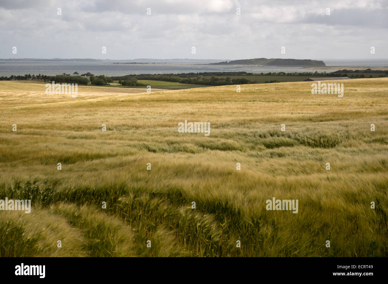 Mors hi-res stock photography and images - Alamy