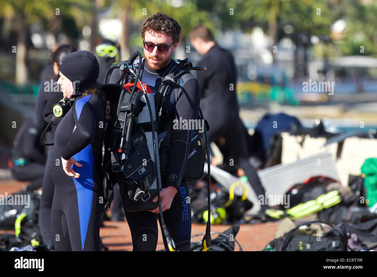 Group Of Divers Preparing To Go Diving In Avalon, Catalina Island ...