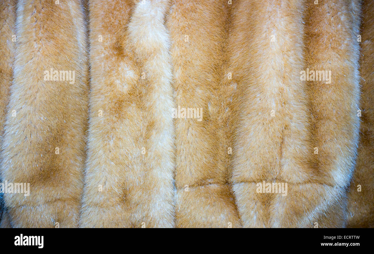 Beaver pattern hi-res stock photography and images - Alamy