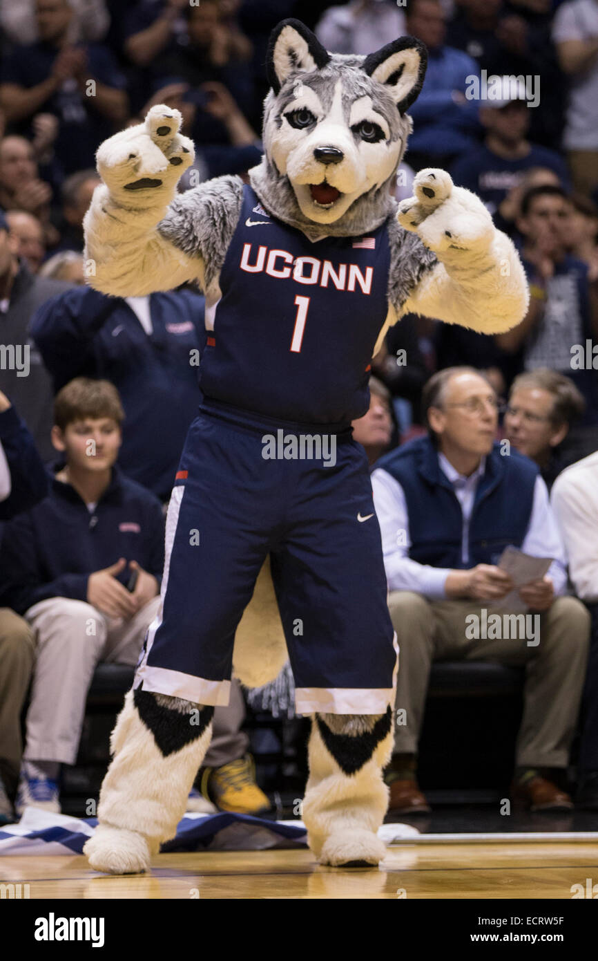 December 18, 2014: Connecticut Huskies mascot in action during the NCAA ...