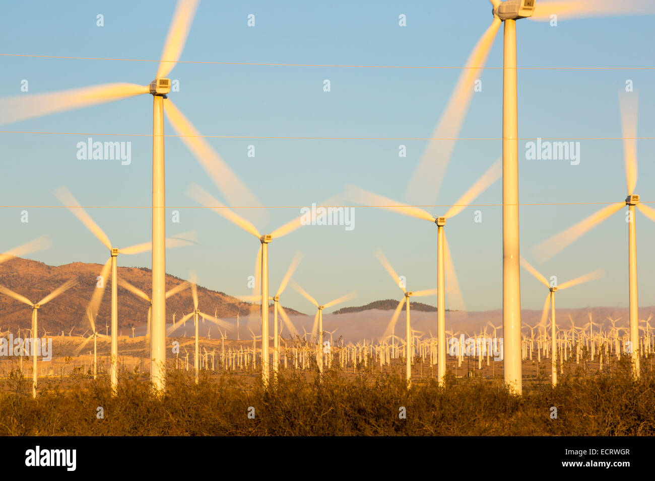 Part of the Tehachapi wind farm in California, USA Stock Photo - Alamy