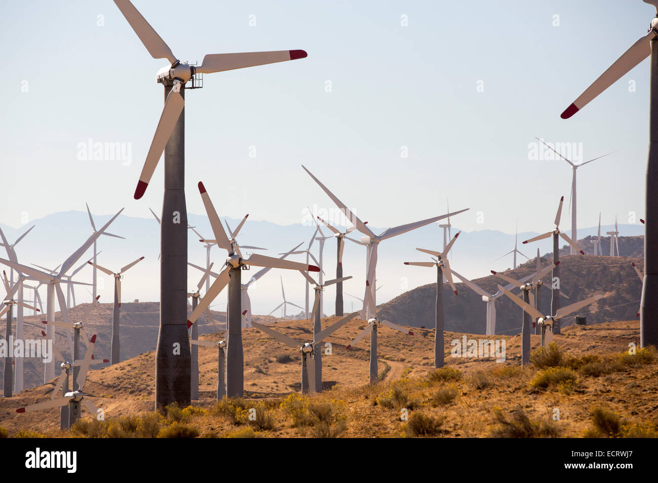 Part of the Tehachapi wind farm in California, USA Stock Photo - Alamy