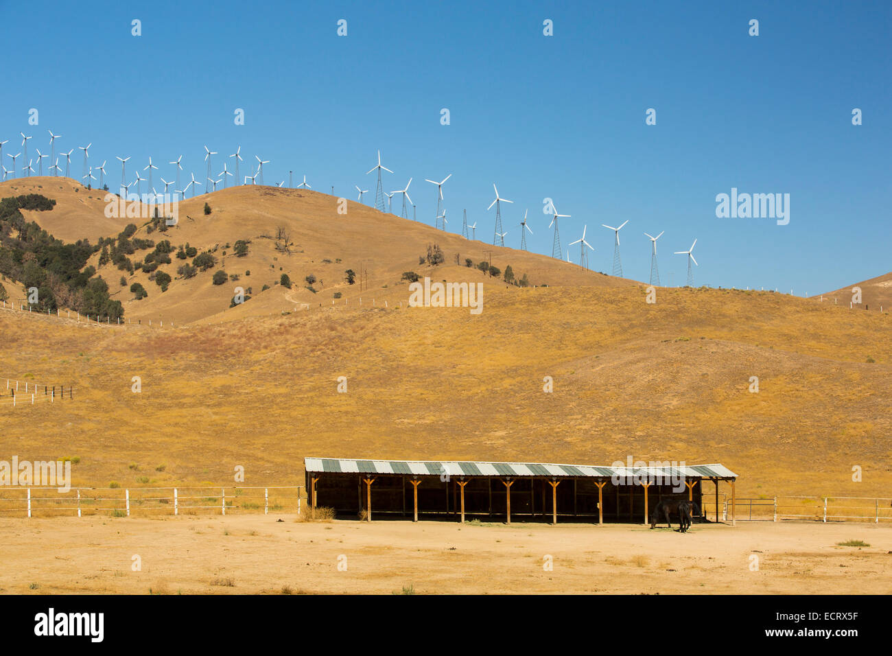 Part of the Tehachapi Pass wind farm, the first large scale wind farm ...
