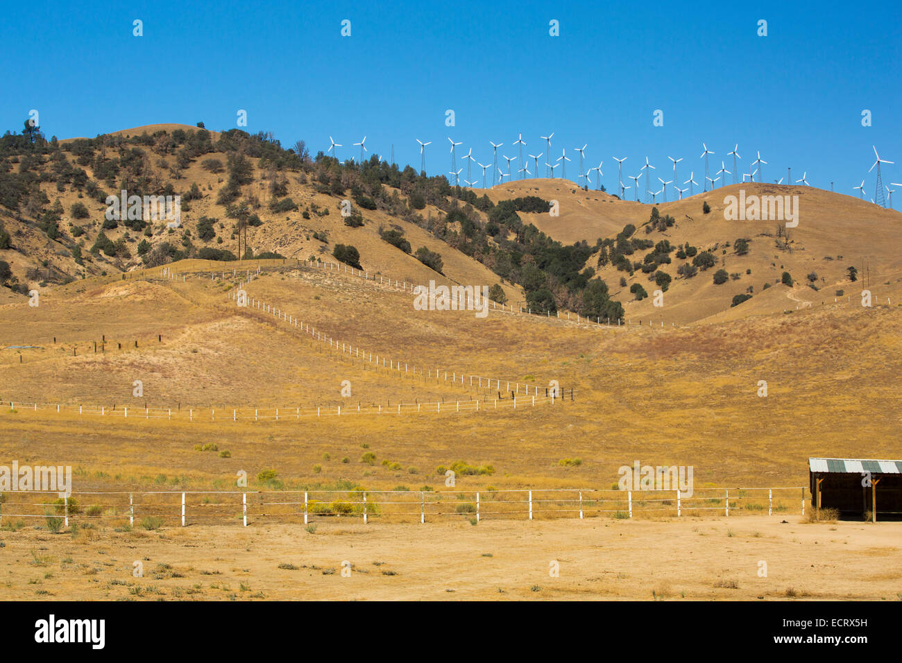 Part of the Tehachapi Pass wind farm, the first large scale wind farm ...