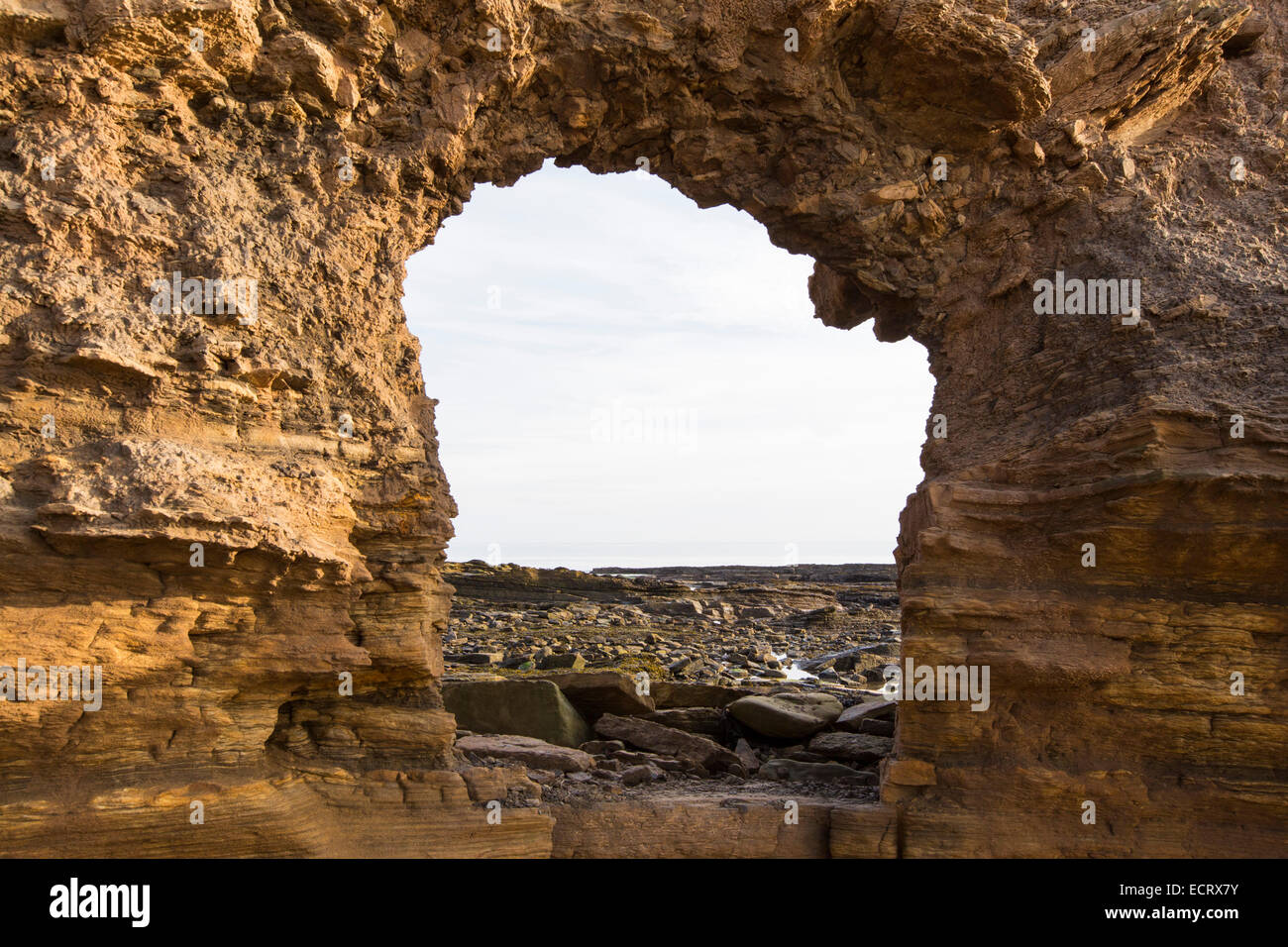 Weathered sandstone sea cliff on the Northumberland coast near Boulmer ...