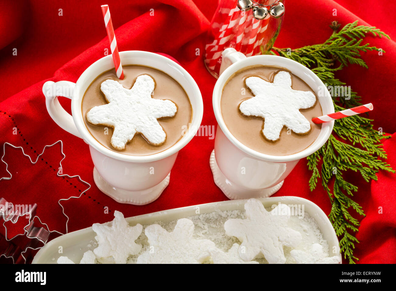 Homemade hot chocolate garnished with snowflake shaped white ...