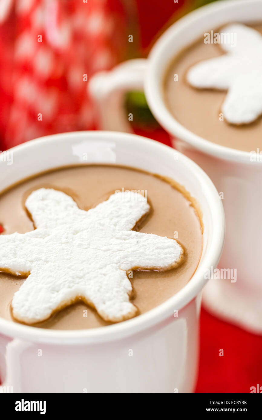 Homemade hot chocolate garnished with snowflake shaped white ...